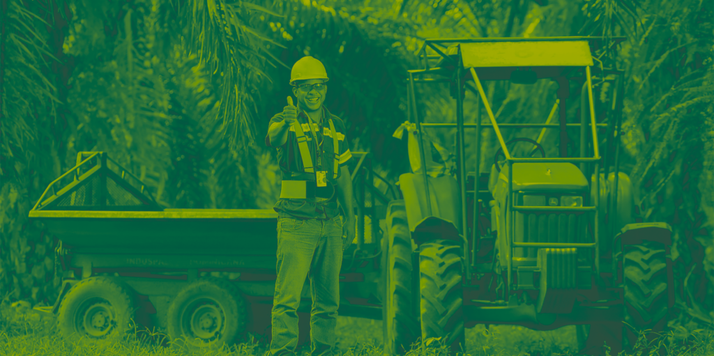 Nosotros - Induspalma